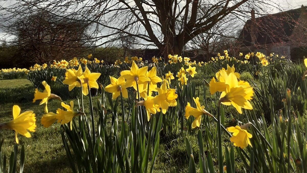 What's On In March - Arley Hall & Gardens