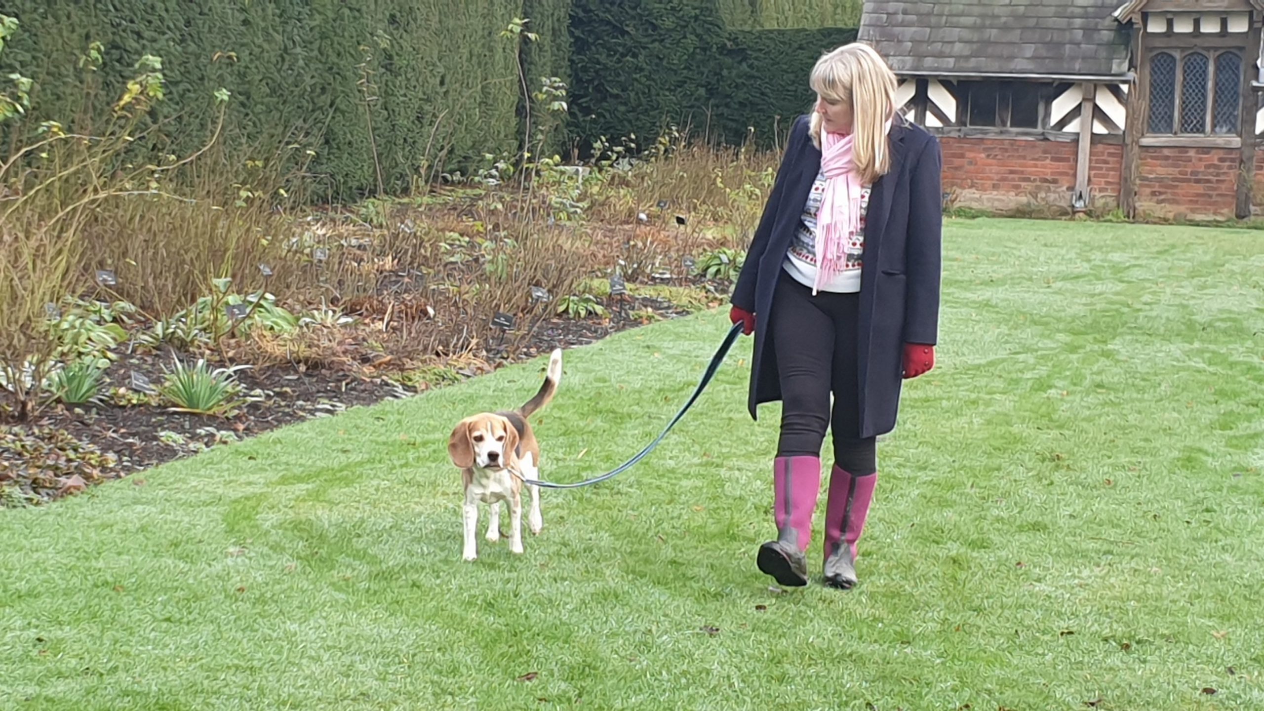 Dogs at Arley - Arley Hall & Gardens